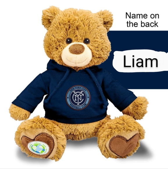 Accessories | Liam Personalized Brown Teddy Bear With Navy Hoodie ...